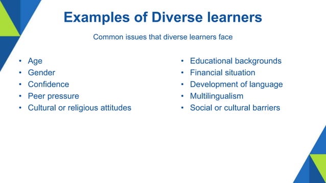 Types of Learning Styles in a Diverse Classroom | PPTX | Workshops and ...