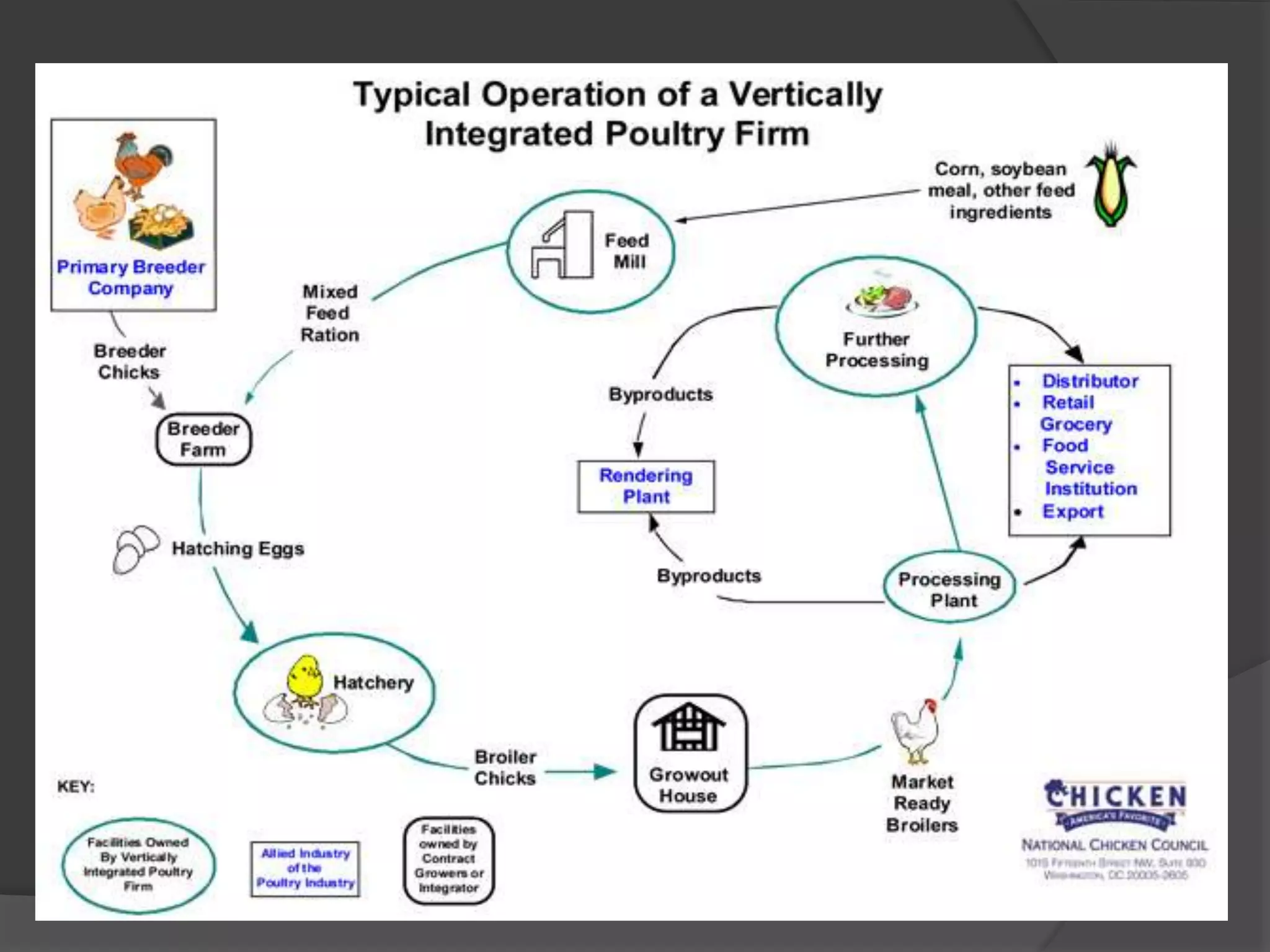 Poultry Integration | PPTX