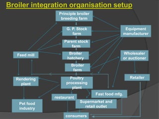 Poultry Integration | PPTX