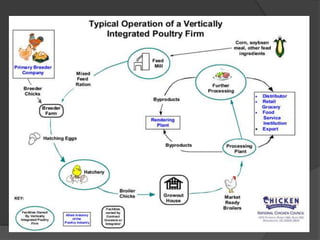 Poultry Integration | PPTX