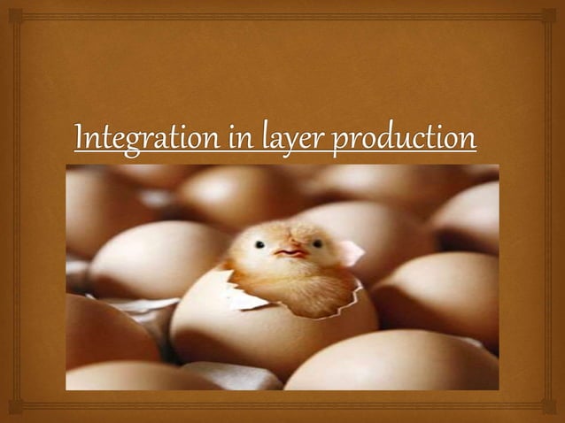 Integration in layer production | PPTX | Agriculture | Industries