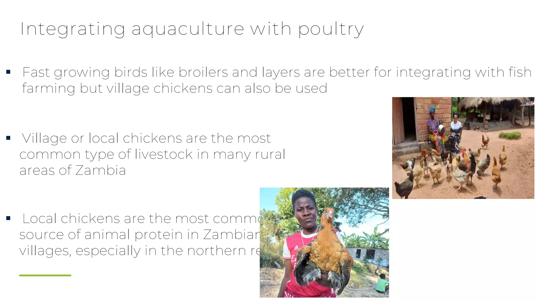 Integration-Fish-Poultry.pdf