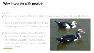 Integration-Fish-Poultry.pdf