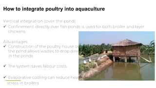Integration-Fish-Poultry.pdf