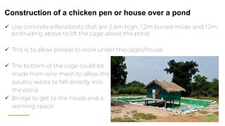 Integration-Fish-Poultry.pdf
