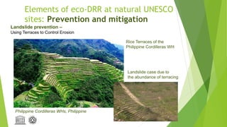 Integration of eco-DRR at natural UNESCO sites, Soichiro YASUKAWA | PPTX