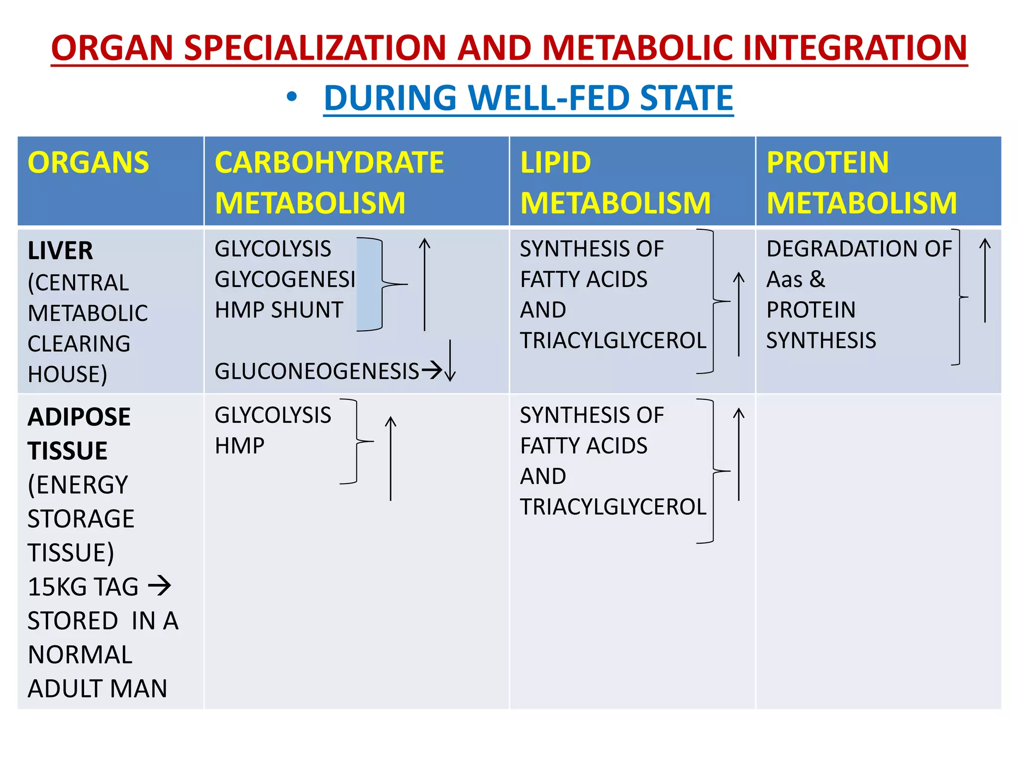Integration metabolism | PPTX