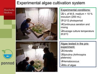 Integration of algae in aquponics | PPT