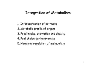 Integration of body fuel metabolism 2013 | PDF