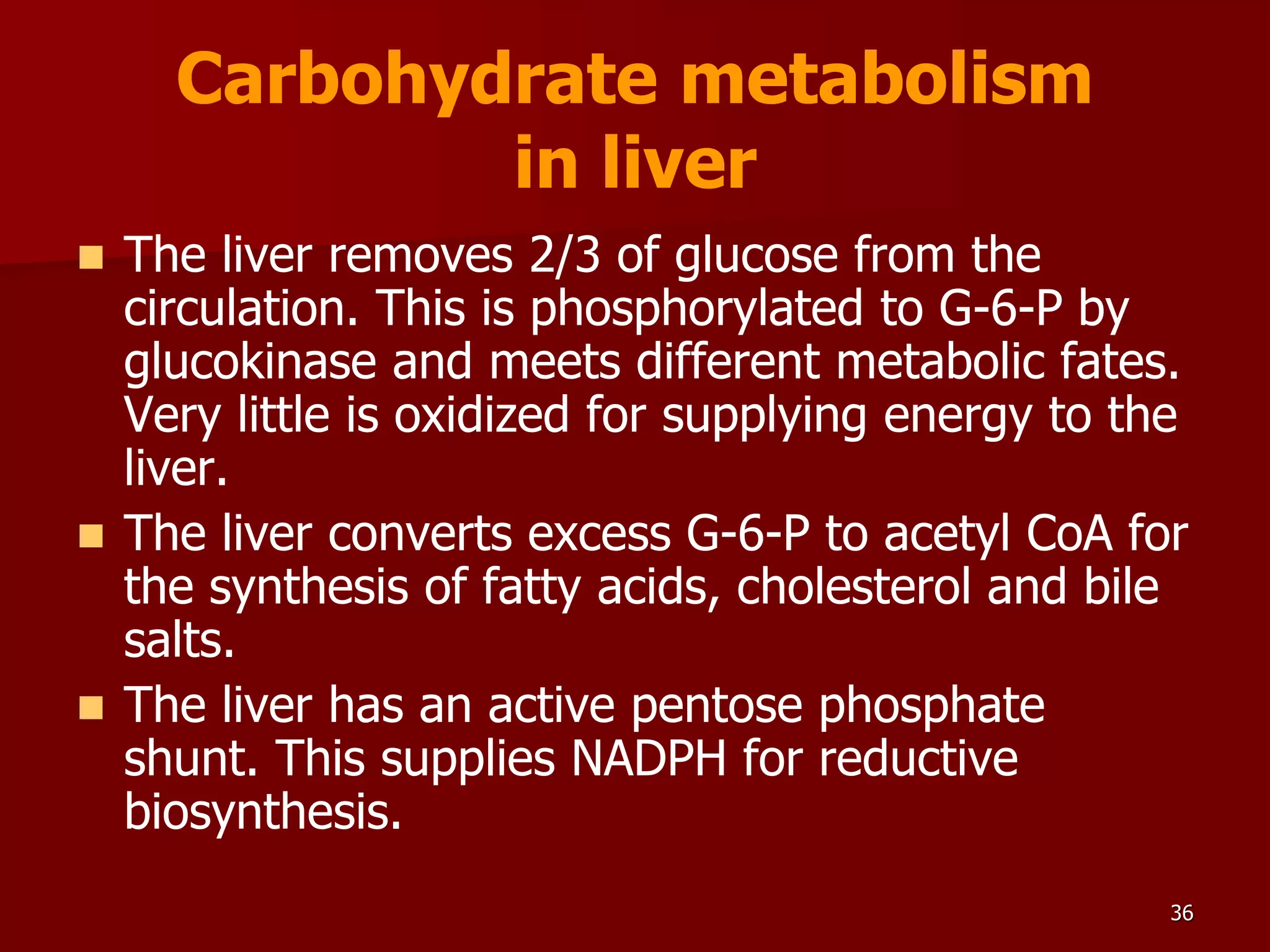 Integration of metabolism | PDF