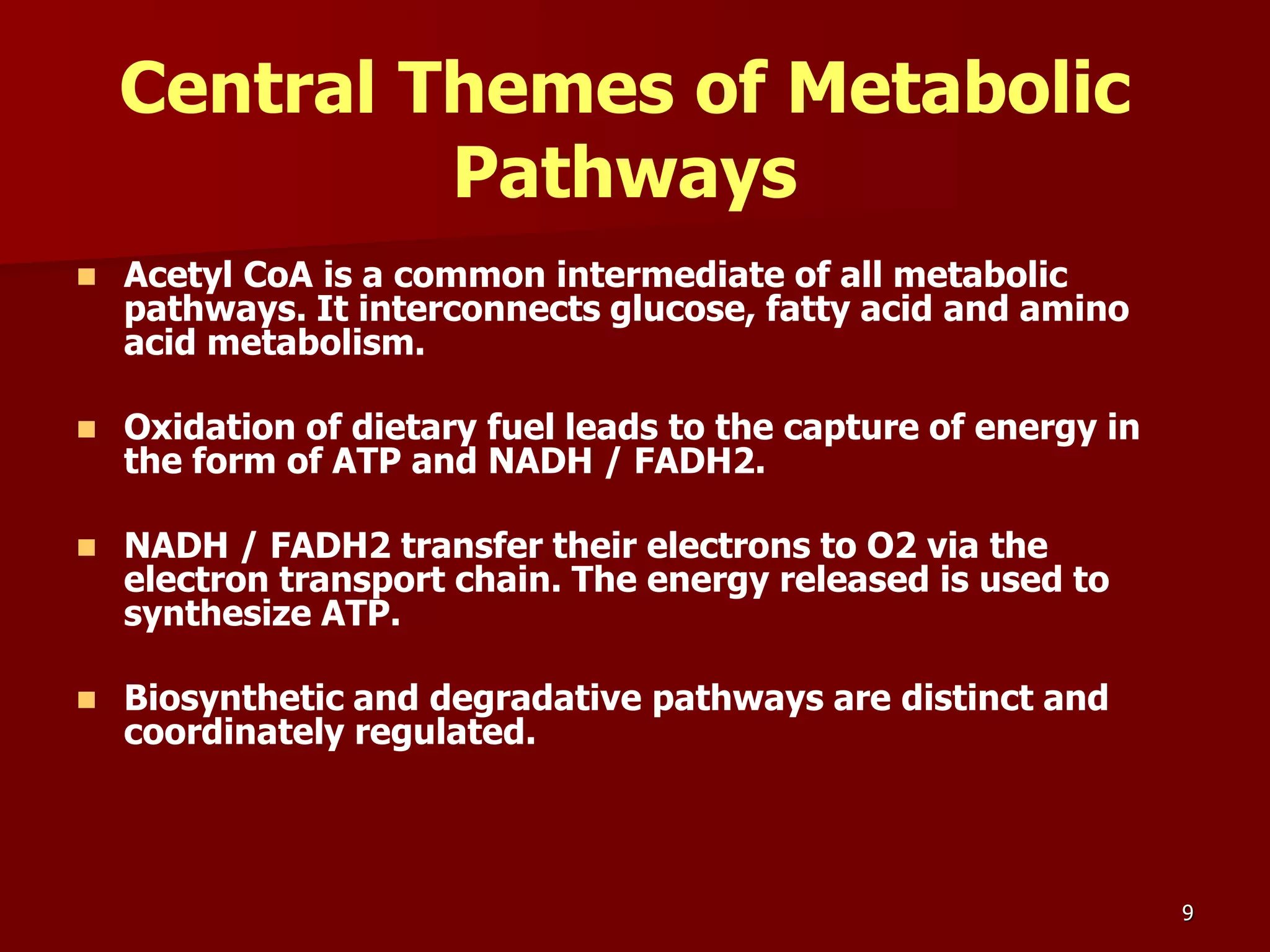 Integration of metabolism | PDF