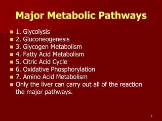 Integration of metabolism | PDF