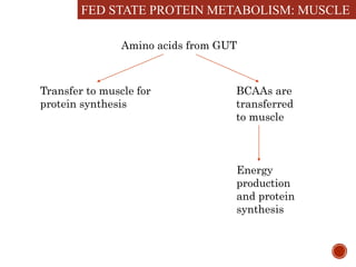Integration of metabolism | PPTX