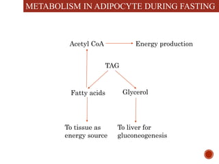 Integration of metabolism | PPTX