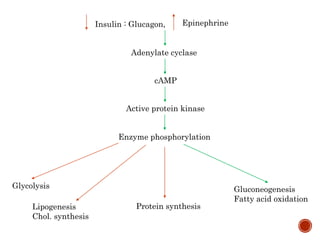 Integration of metabolism | PPTX