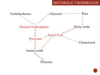 Integration of metabolism | PPTX