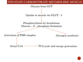 Integration of metabolism | PPTX