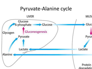 INTEGRATION OF METABOLISM.pptx