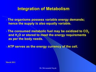 Integration of metabolism nucleotites and nucleic acids .ppt