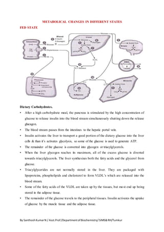 IM -03: Integration of metabolism Notes | PDF