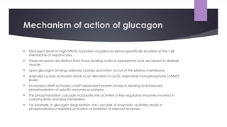 INTEGRATION OF METABOLISM biochemistry.pptx