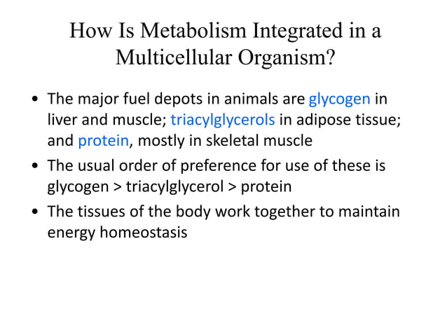 Integration of metabolism for medical school | PPT