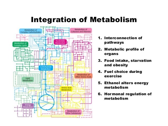 Integration of metabolism for medical school