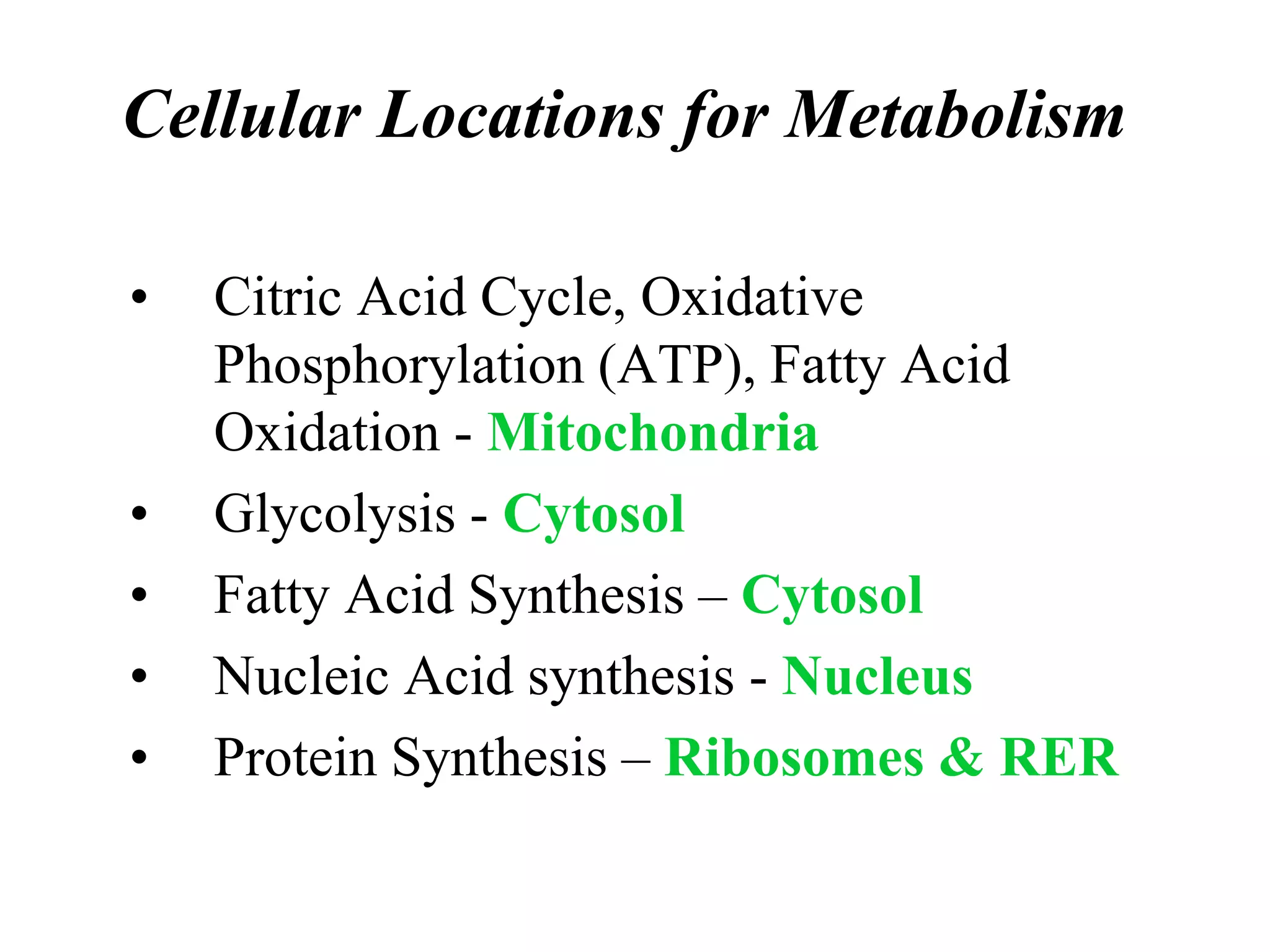Integration_Of_Metabolism_Mira.ppt | Endocrine and Metabolic Diseases ...