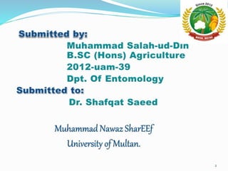 Integration of pheromones and biological control for the management of ...