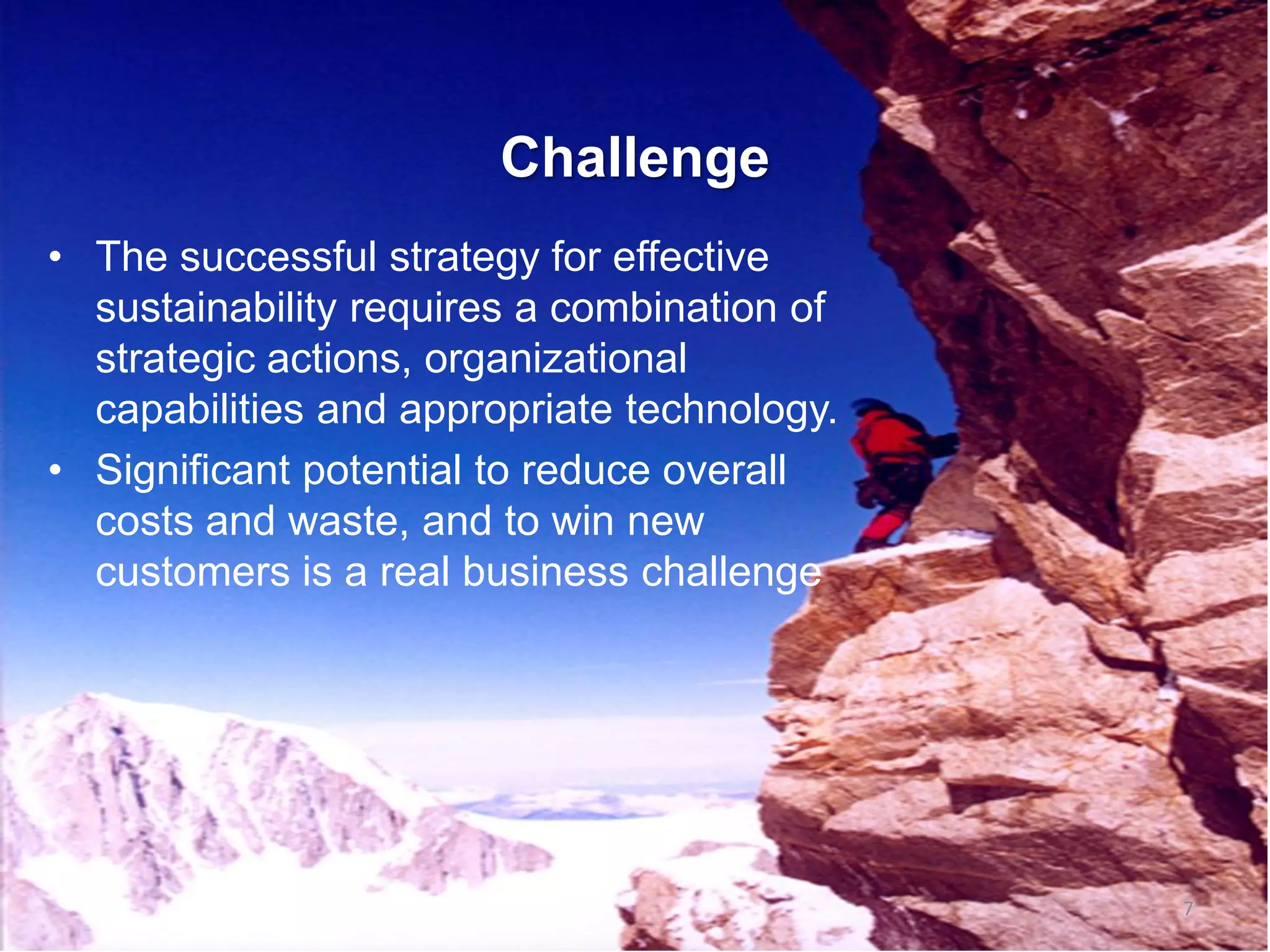 Integration of sustainability into the business processes | PDF