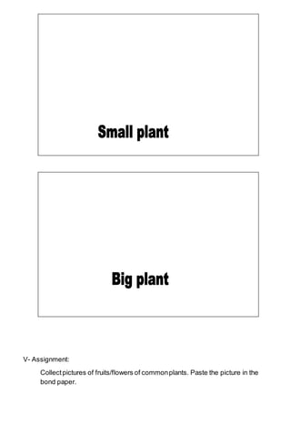 Integrative lesson plan in science | DOCX