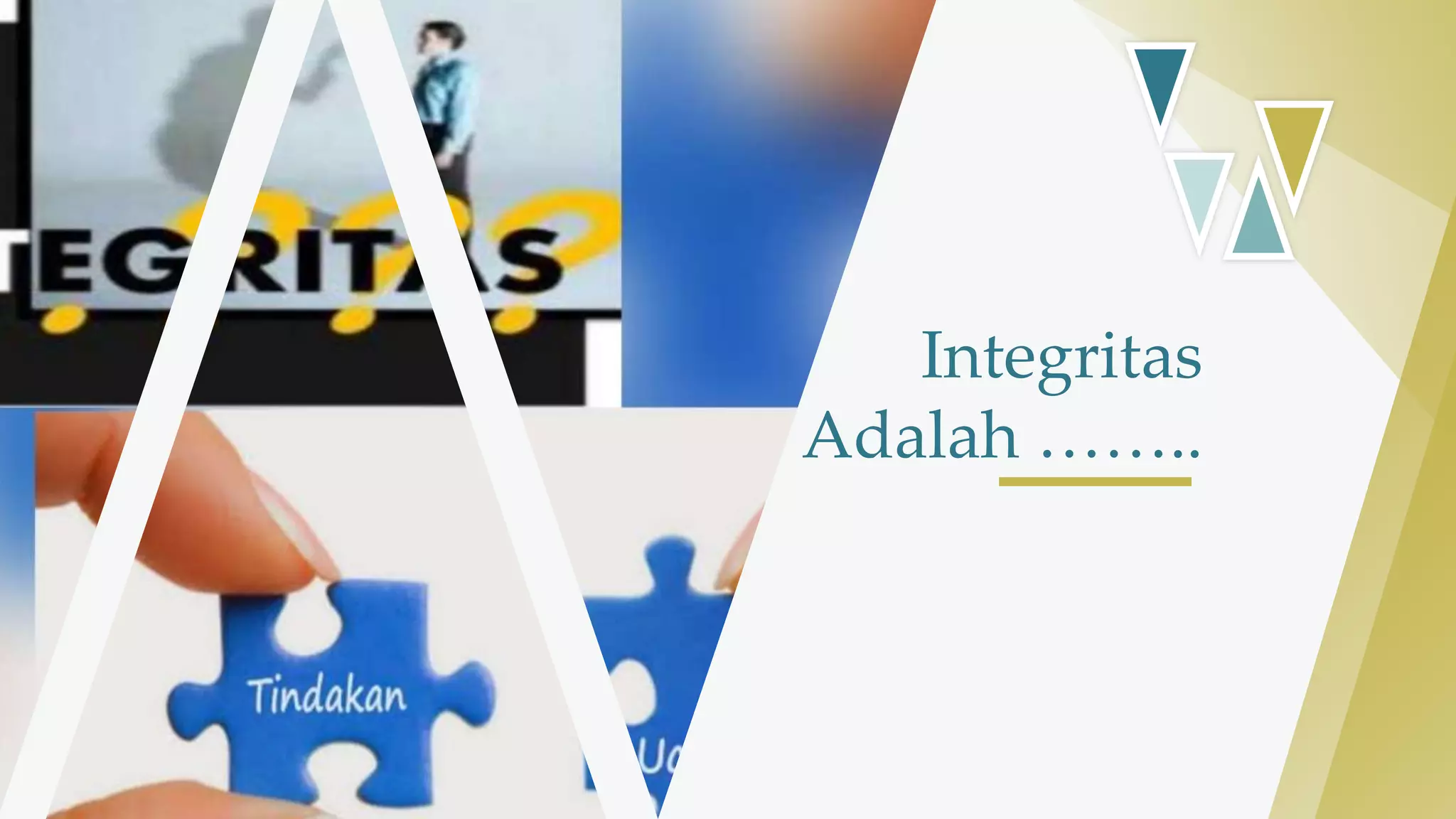 INTEGRITAS DATA.pptx