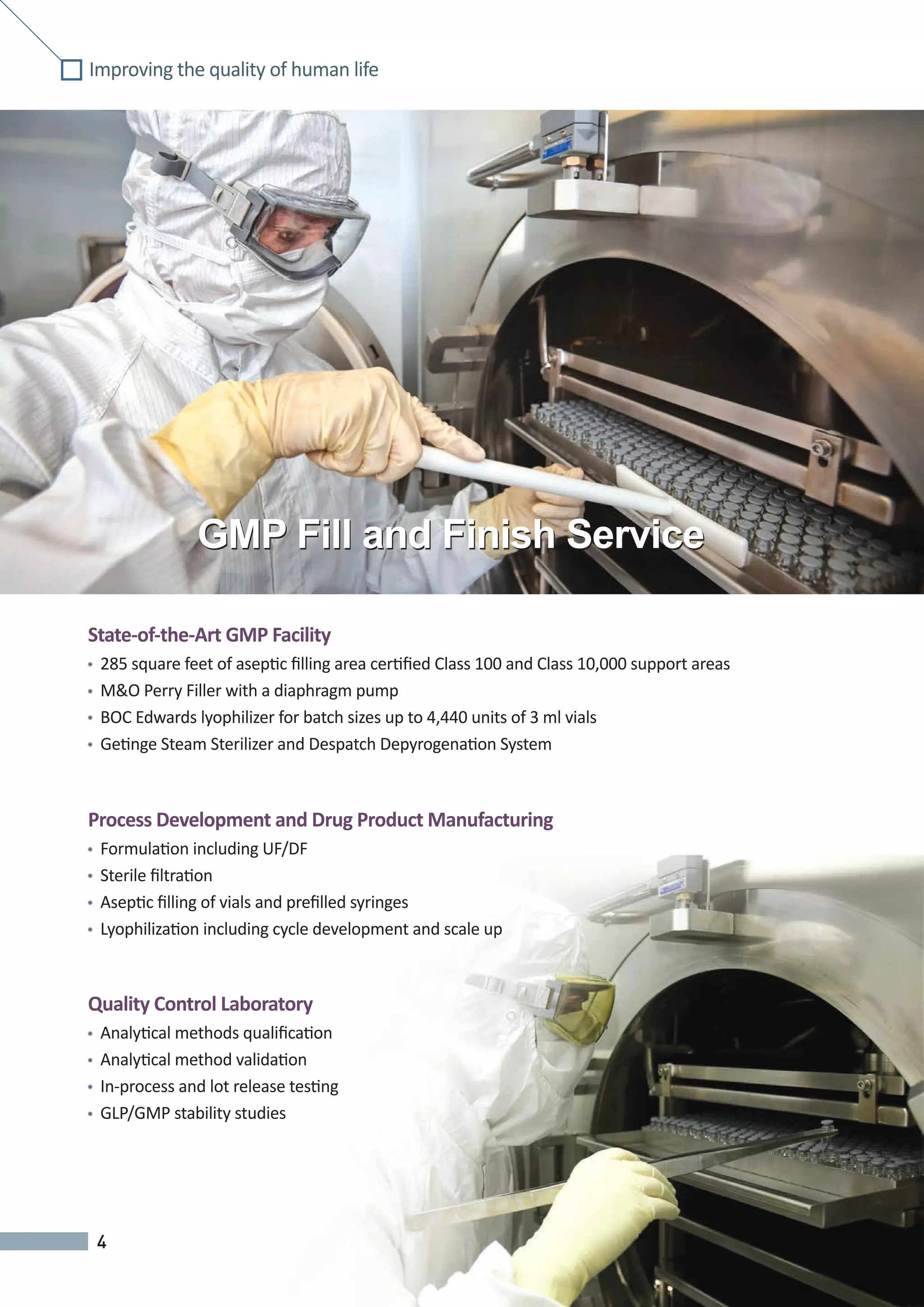 Protein Formulation Development | PDF