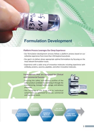 Protein Formulation Development | PDF