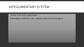 Integumantary system.pptx
