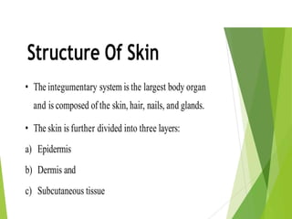 integumentary system 005.pptx anatomy an | PPTX