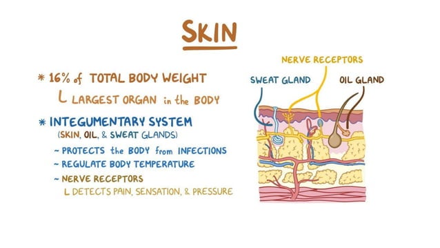 Integumentary disorder / skin disease , its clinical manifestation and ...