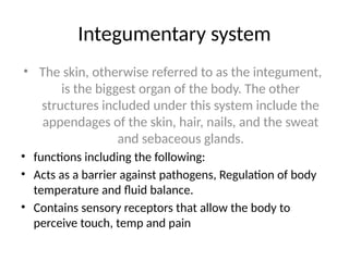 integumatry system medical terminology.pptx