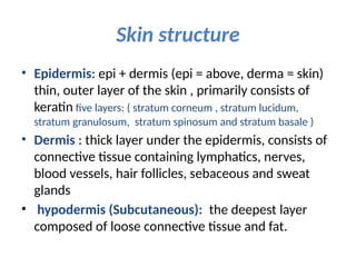 integumatry system medical terminology.pptx