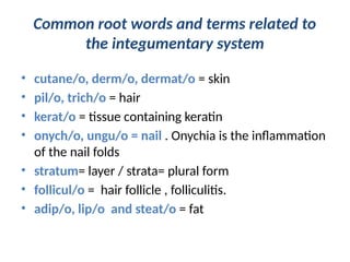 integumatry system medical terminology.pptx