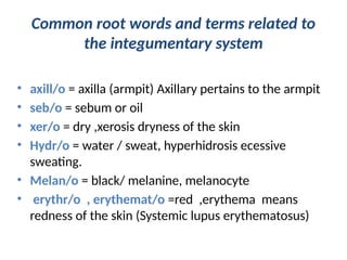 integumatry system medical terminology.pptx