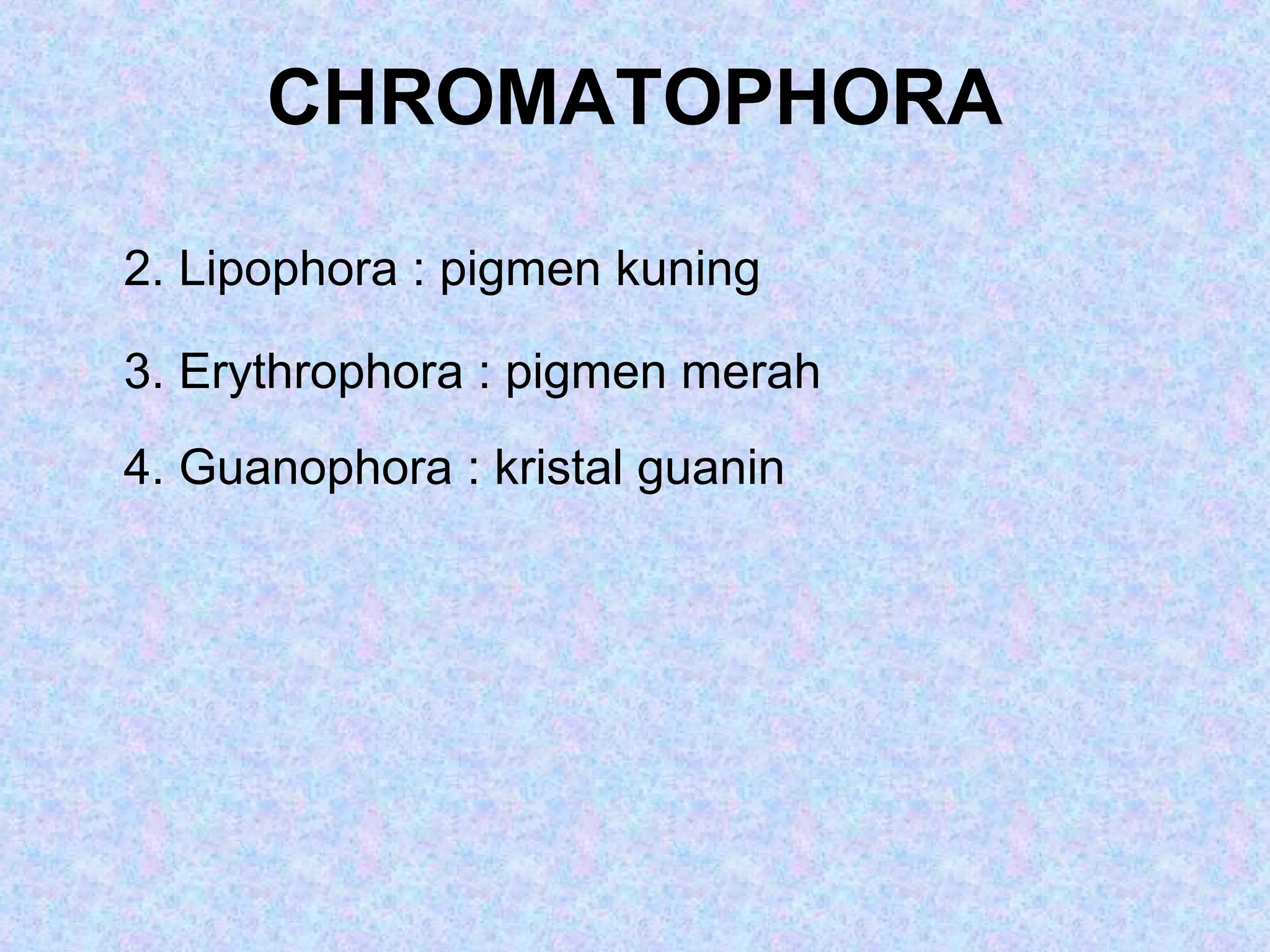 Integumen kulit | PPT