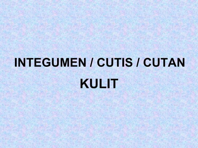 Integumen kulit | PPT