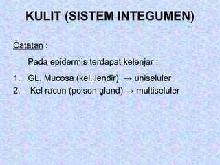 Integumen kulit | PPT