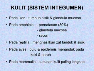 Integumen kulit | PPT
