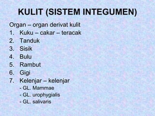 Integumen kulit | PPT