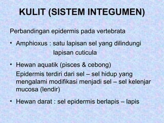Integumen kulit | PPT