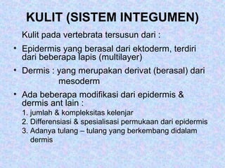 Integumen kulit | PPT