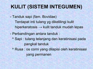 Integumen kulit | PPT