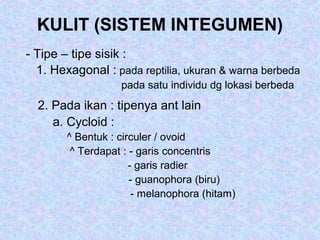 Integumen kulit | PPT